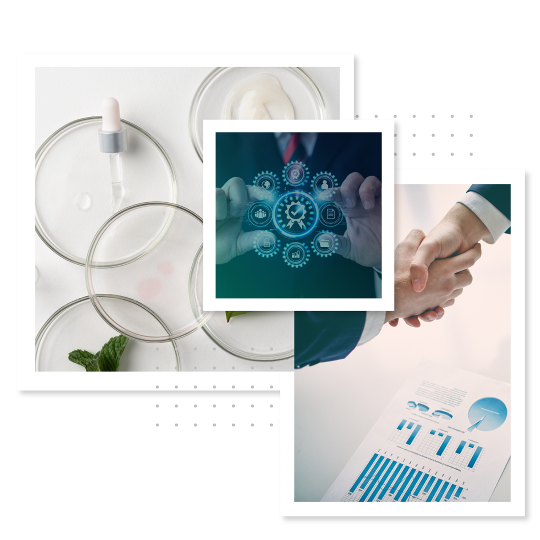 AGMA Consulting – System, Process and Strategy